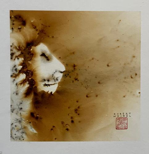 Porterville College aims to ignite passion for art with exhibition ...