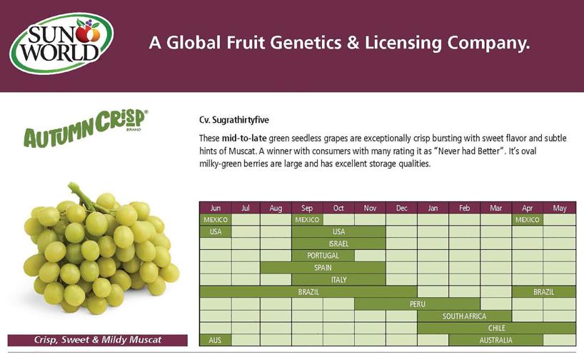 green grape brands
