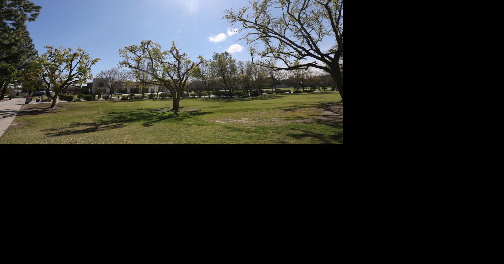 CSUB makes U.S. News' 'Best Colleges' lists | News | bakersfield.com