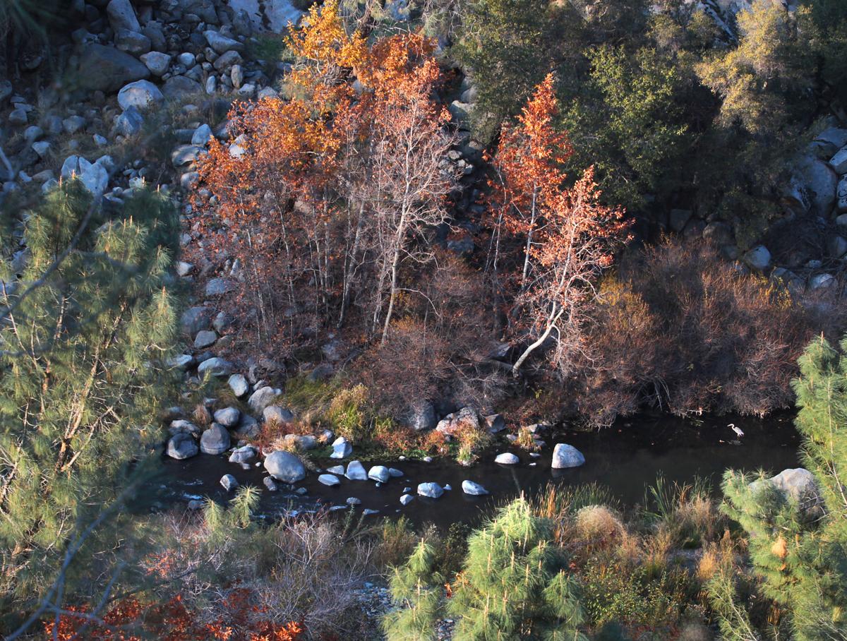 Kern River Scenes and Sunsets | Photo Galleries | bakersfield.com