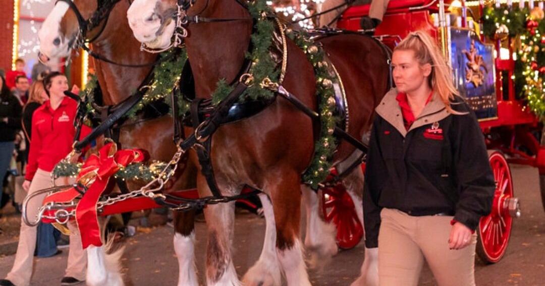 Hoof it to the Bakersfield Christmas Parade | Entertainment ...