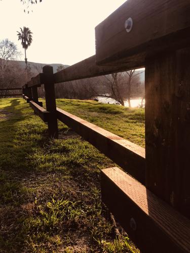 Kern County rolls out master plan for Hart Park improvements | The ...