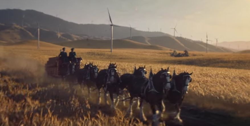 Millions got a look at Tejon Ranch in Budweiser Super Bowl spot | The ...