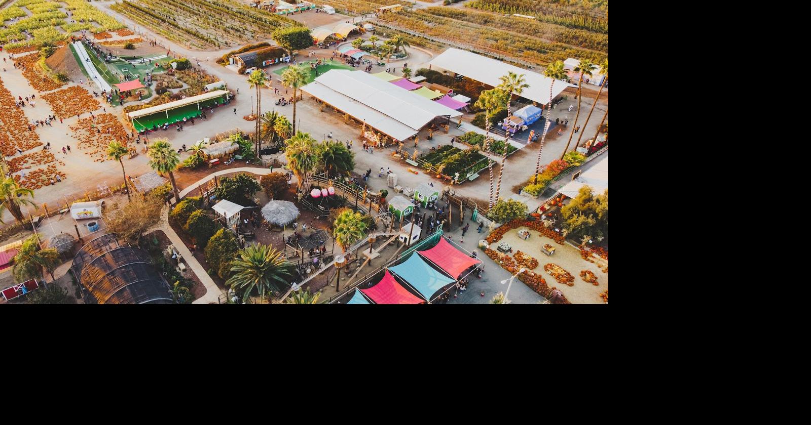 Spring into Easter events this weekend | | bakersfield.com