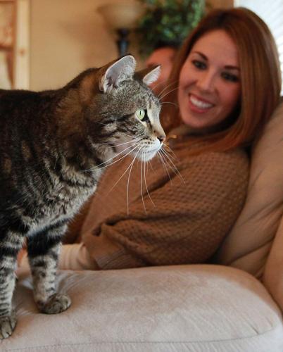 Finding Fame: Tara the Hero Cat | Bakersfield Life | bakersfield.com