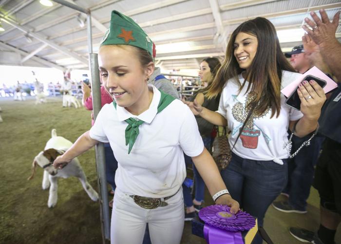 Kids showing farm animals at fairs have new requirements in 2019 | The ...