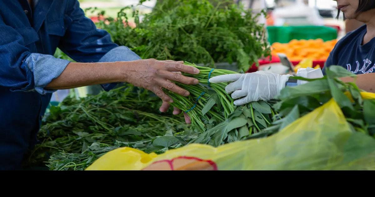 How fresh will CalFresh be? Food benefits on the table in state budget ...