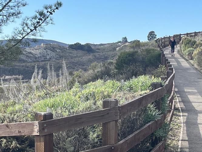 Go & Do: The Shell Beach Bluff Trail is so beautiful it can make you ...
