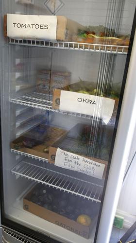 CSUB Food Pantry reaches one-year anniversary amid high demand | The ...