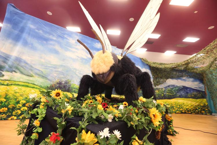 All abuzz for fair's opening day | Kern County Fair | bakersfield.com