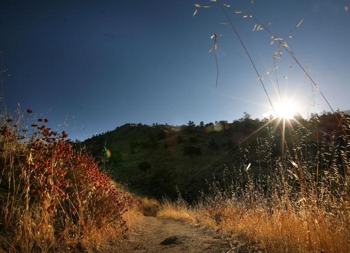 Explore the best of nature in Kern County | Bakersfield Life ...