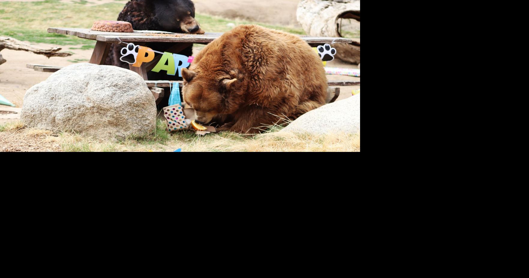 'Here we are 40 years later': CALM celebrates landmark birthday | News ...