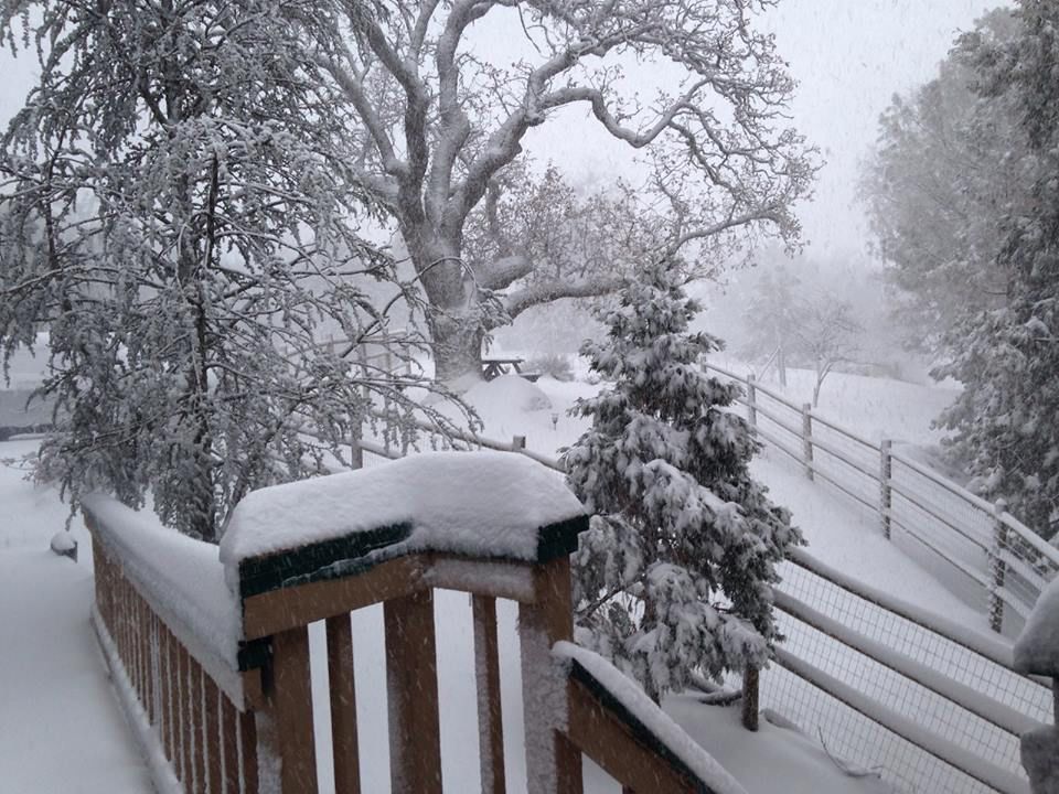 PHOTO GALLERY: Snow day photos from our Facebook friends | News ...