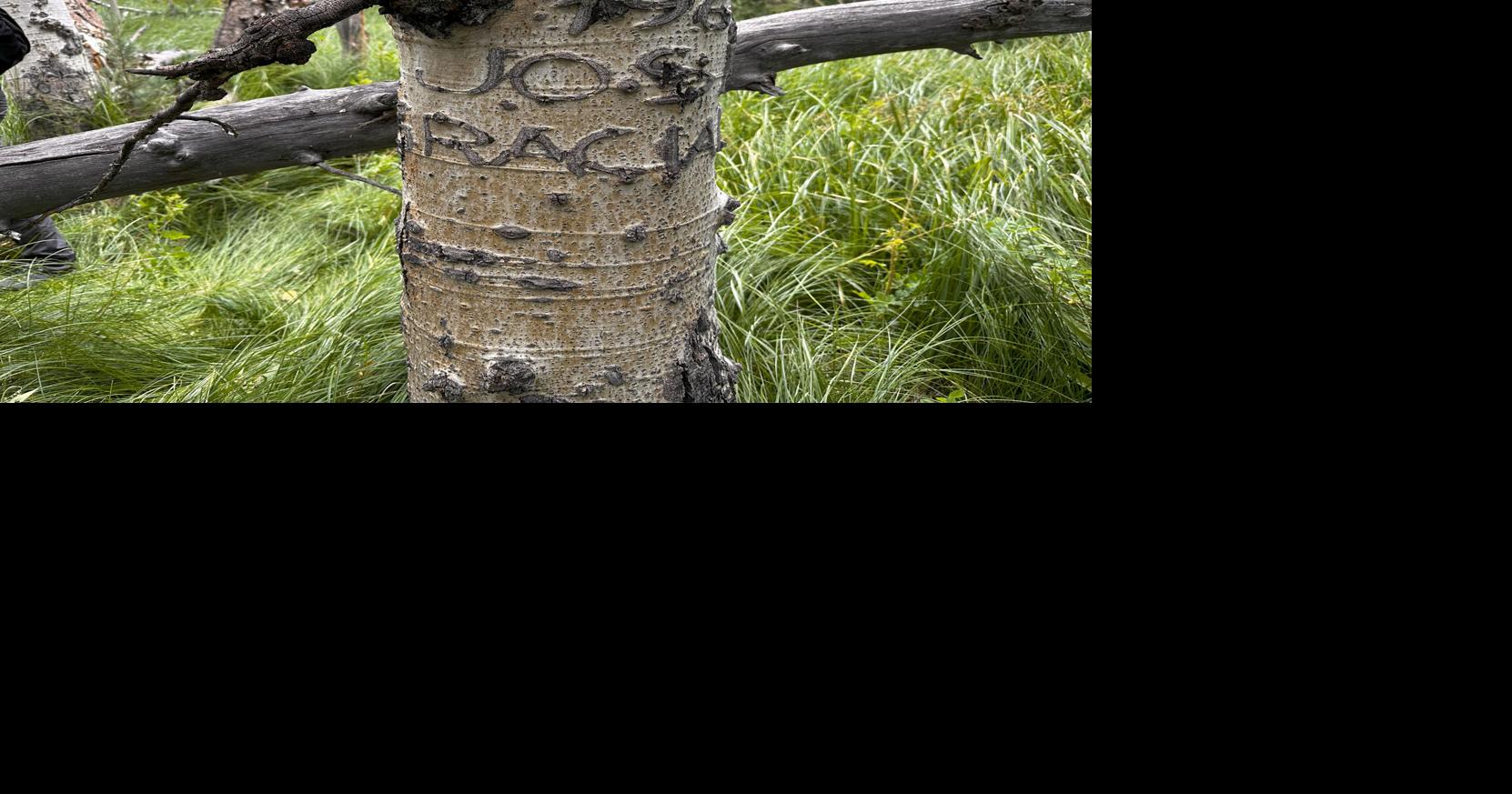 Program scratches at surface of Basque history in the West ...