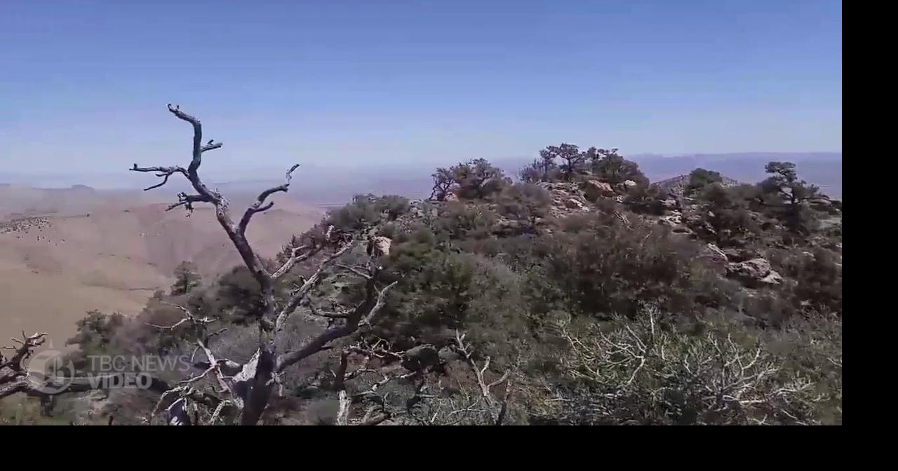 Human predators, an uncommon danger on Pacific Crest Trail, prompt Kern ...
