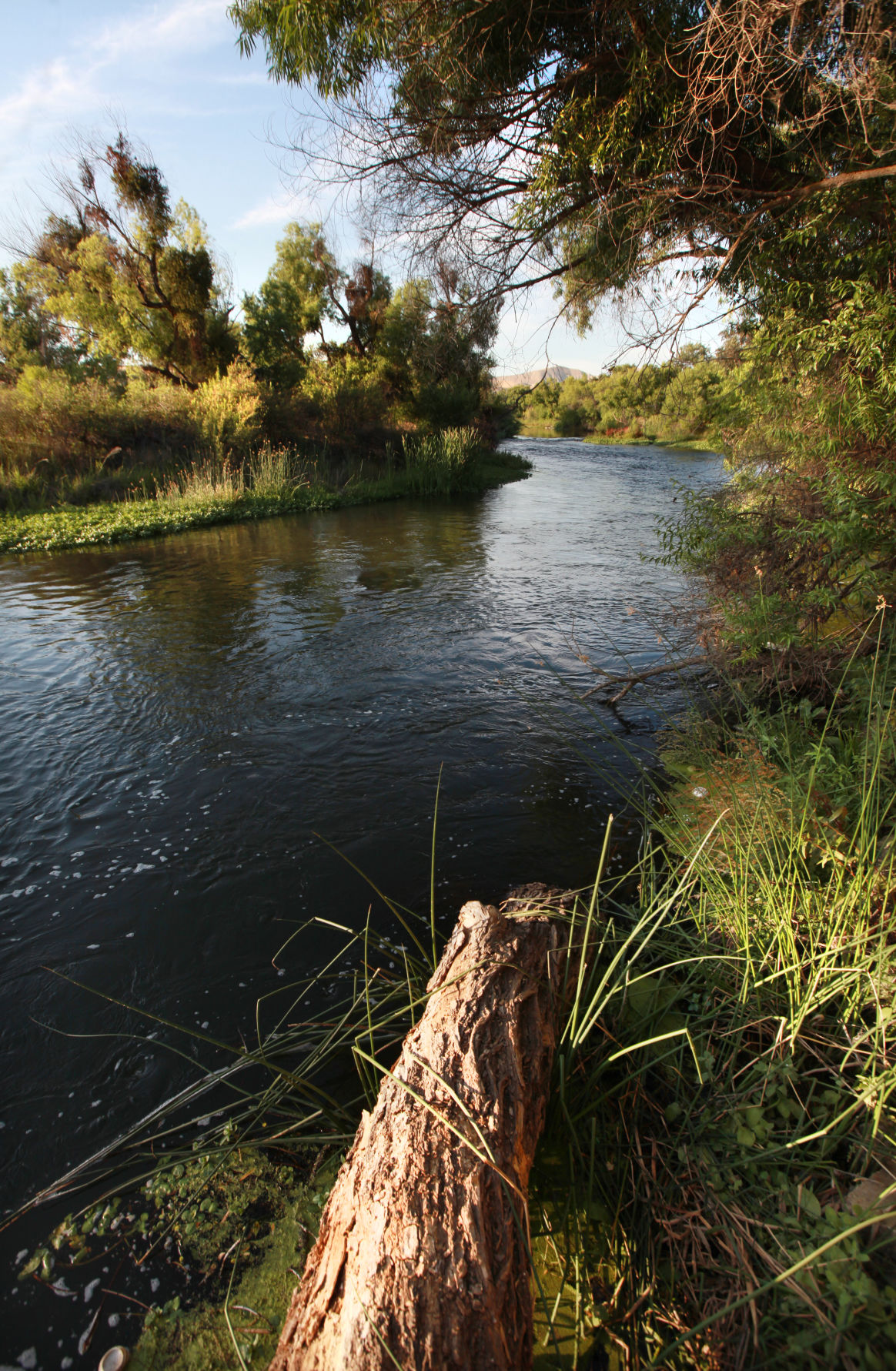 Dire report: Drought may drain Lake Ming, brown Hart Park | News ...