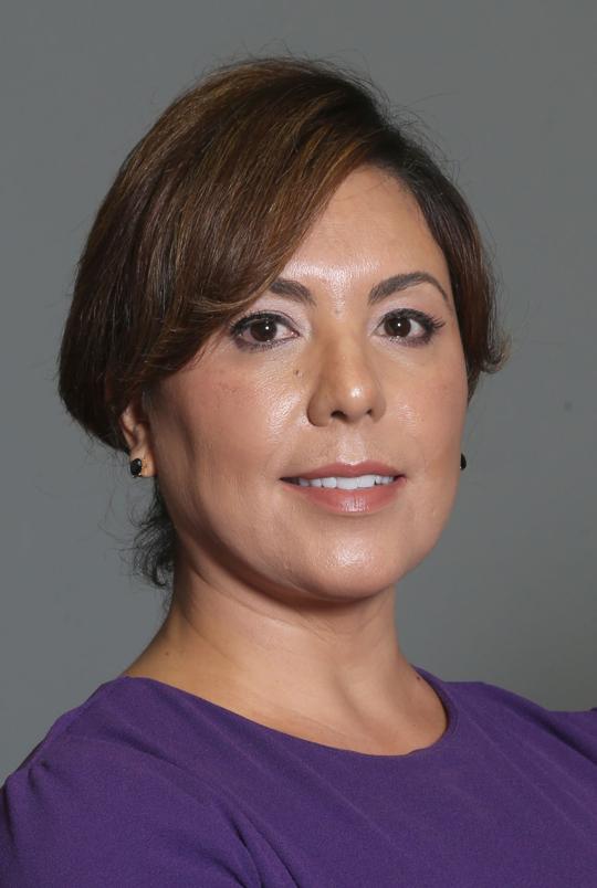 Nicole Parra switches candidacy from Congress to state Senate | News ...