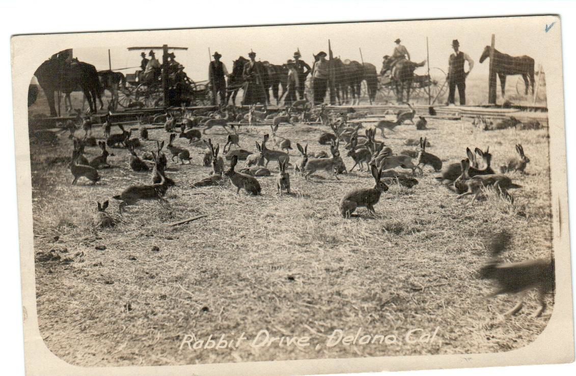 Filipina American historian to visit Delano, discuss importance of ...