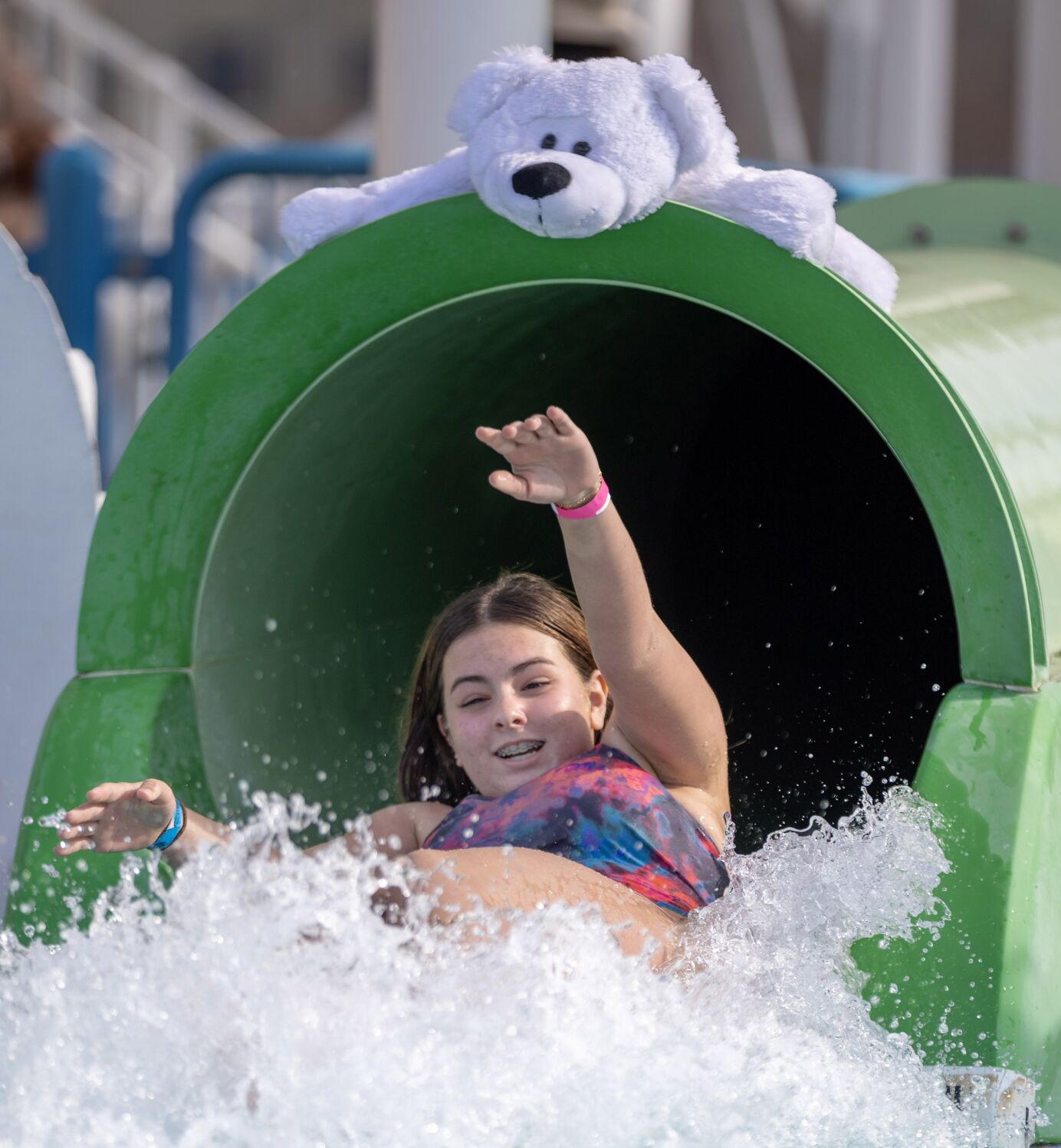 Make a splash in 2026 with Polar Bear Plunge | Entertainment ...