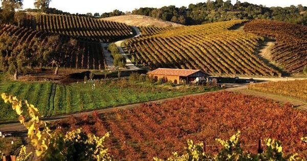 Sip & Swirl: Exploring white Rhône blends | Bakersfield Life ...