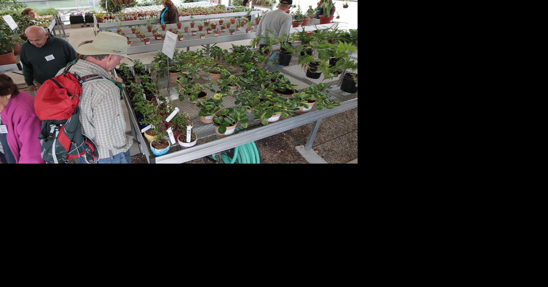 Spring into action at Garden Fest | Bakersfield Life | bakersfield.com