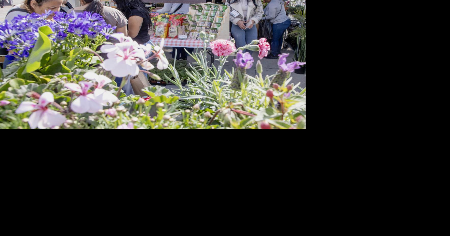 PHOTO GALLERY: Spring into the 38th running of the Bakersfield Home ...