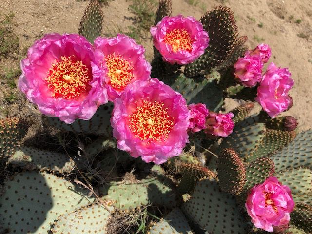 THROUGH YOUR LENS: TBC's favorite photos of the week | Photo Galleries ...