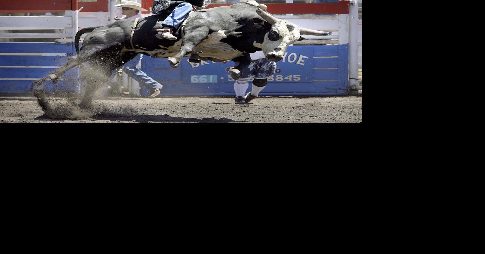 Glennville Rodeo: Back in the saddle for the 63rd year | Entertainment ...