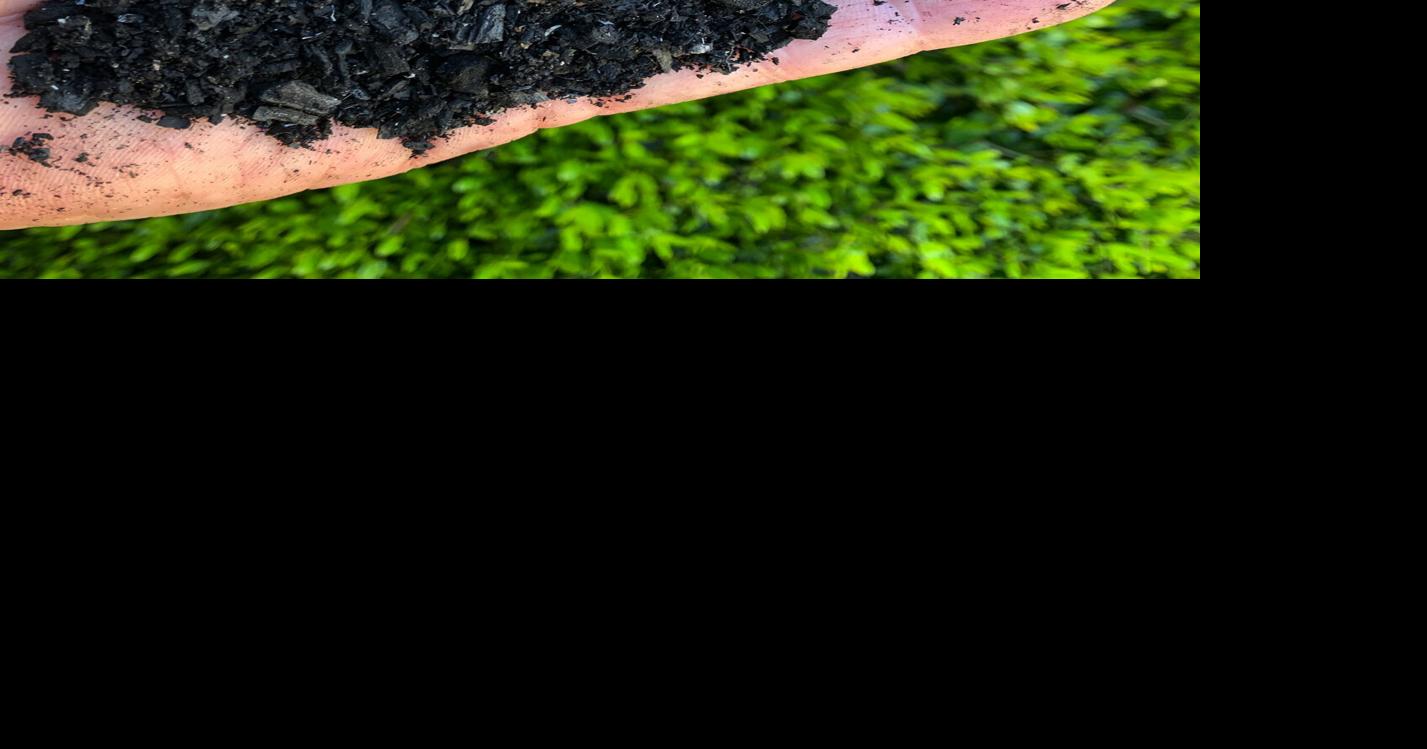 Biochar from biomass energy production presents opportunities ...