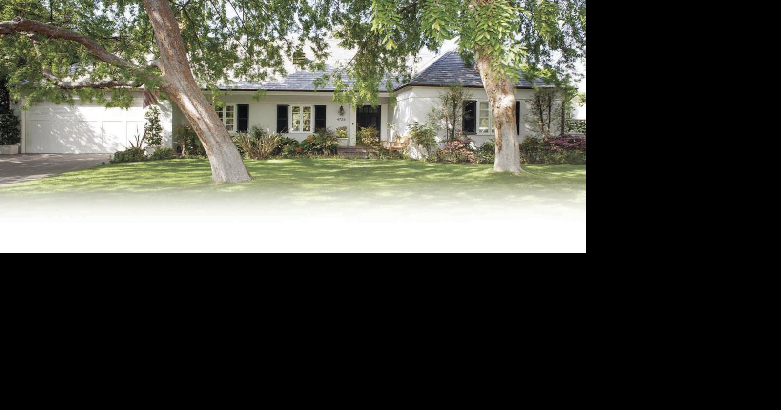 Pruning shade trees | Bakersfield Life | bakersfield.com