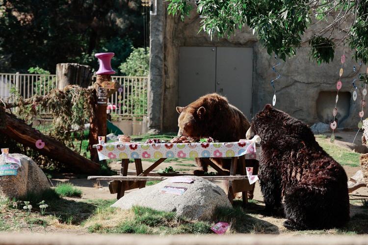 BEST OF HALL OF FAME: CALM is where the wild things (and we) are ...