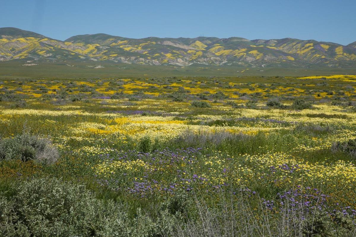 THROUGH YOUR LENS: Carrizo Plain National Monument | Photo Galleries ...
