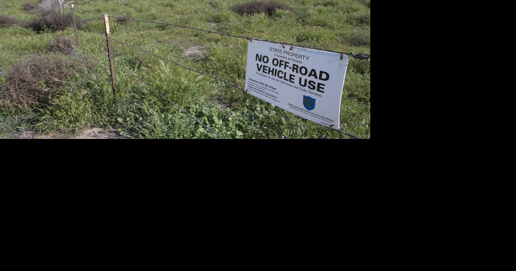 A struggle to preserve: Recreation destroying cactus habitat | News ...