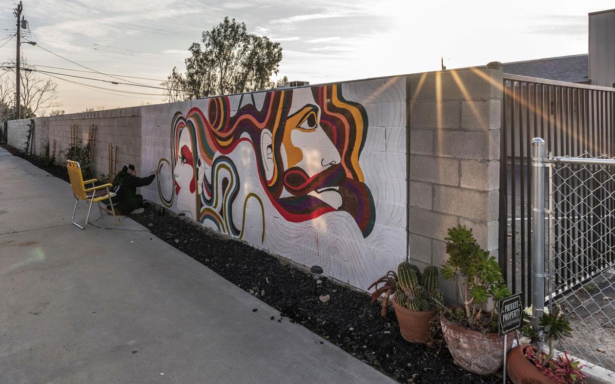 PHOTO GALLERY: Mural at The Apricot Door | Multimedia | bakersfield.com