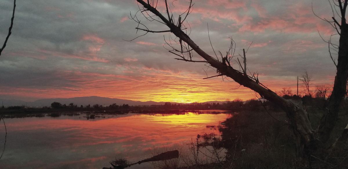 Kern County Wonders: Sights worth seeing | Bakersfield Life ...