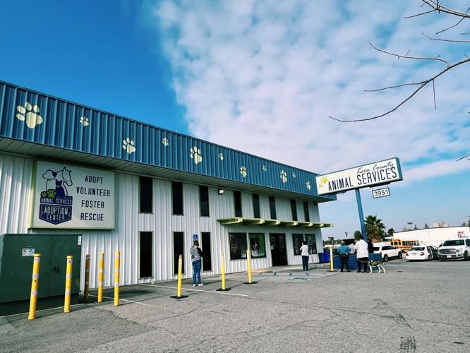 Kern County Animal Services