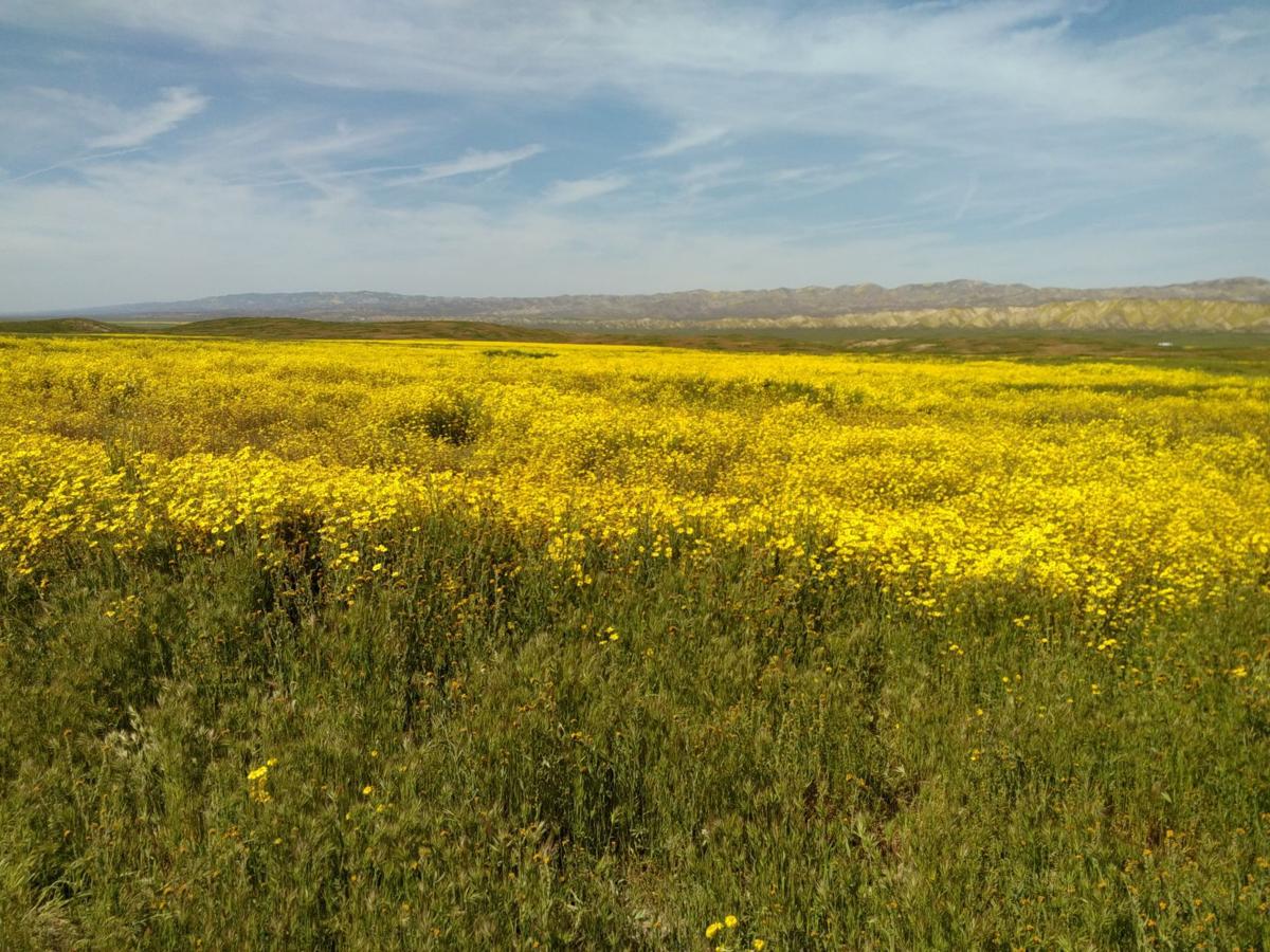 THROUGH YOUR LENS: Carrizo Plain National Monument | Photo Galleries ...