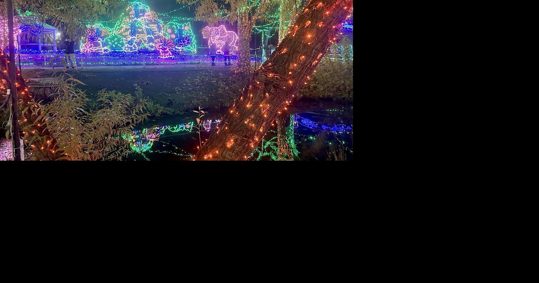 Tickets on sale for CALM's HolidayLights | Entertainment | bakersfield.com