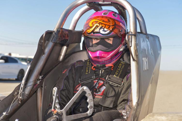 THINGS YOU NEEDS TO KNOW: Local animal shelter's lobby cat goes missing ...