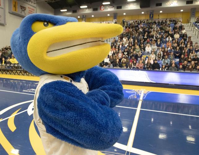 Your future as a CSUB Roadrunner begins today | Bakersfield Life ...
