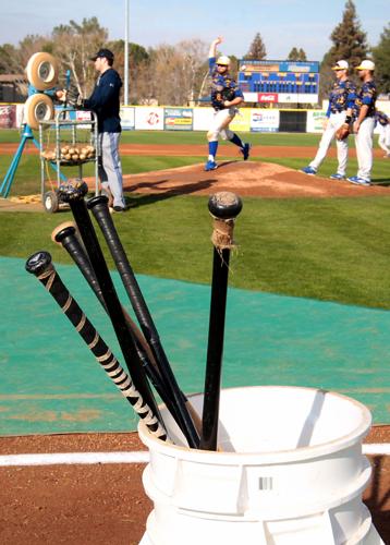 CSU Bakersfield Baseball Team During First Day of Practice. | Photo ...