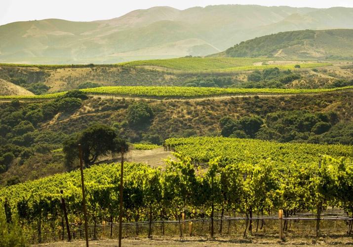 SIP & SWIRL: Wines from The Hilt Estate are rooted in passion and ...