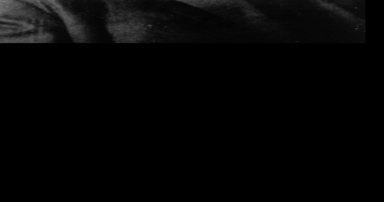 KERN TURNS 150: The 'father of Kern County' | News | bakersfield.com