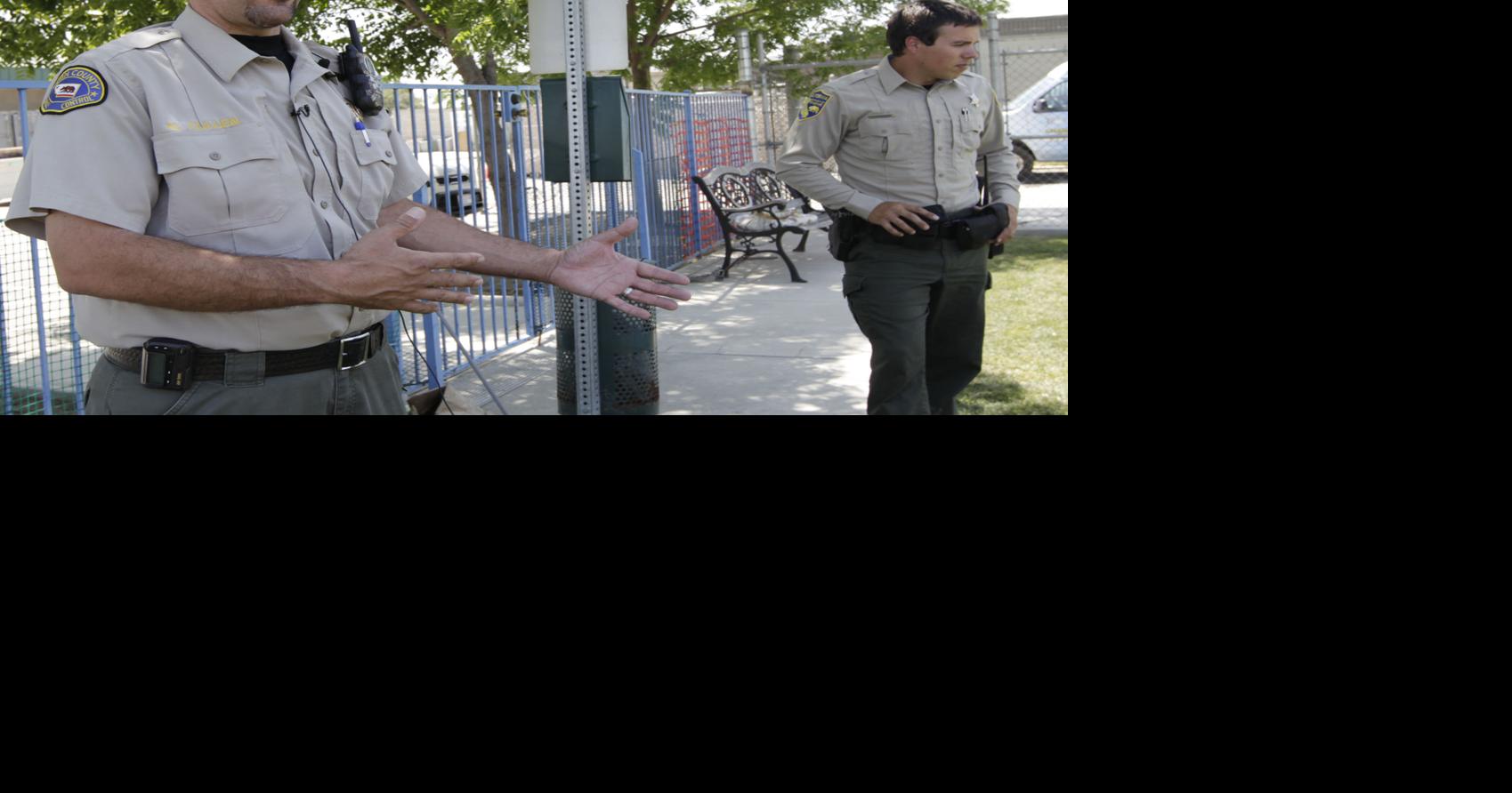 Juvenile bear learns a lesson at school | News | bakersfield.com