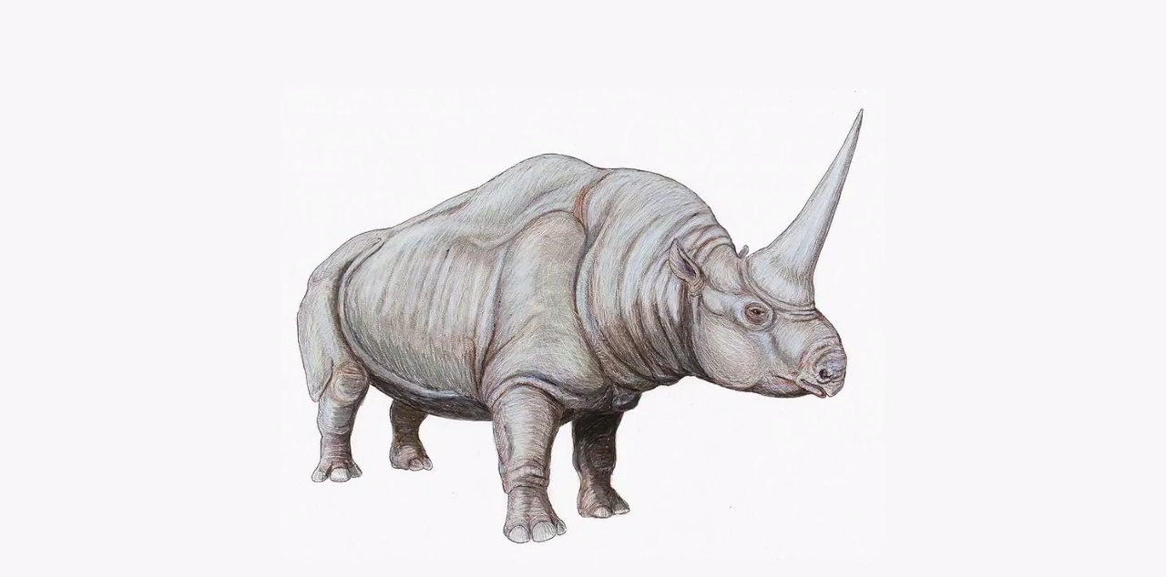 Unicorn-like fossil discovered | News | bakersfield.com