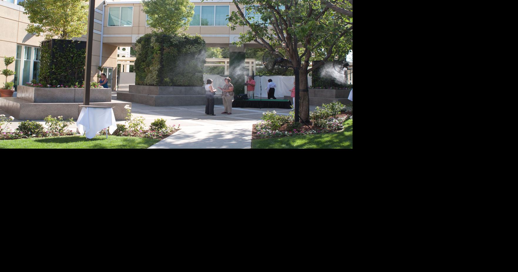 Hospital transforms concrete courtyard into latest healing garden ...
