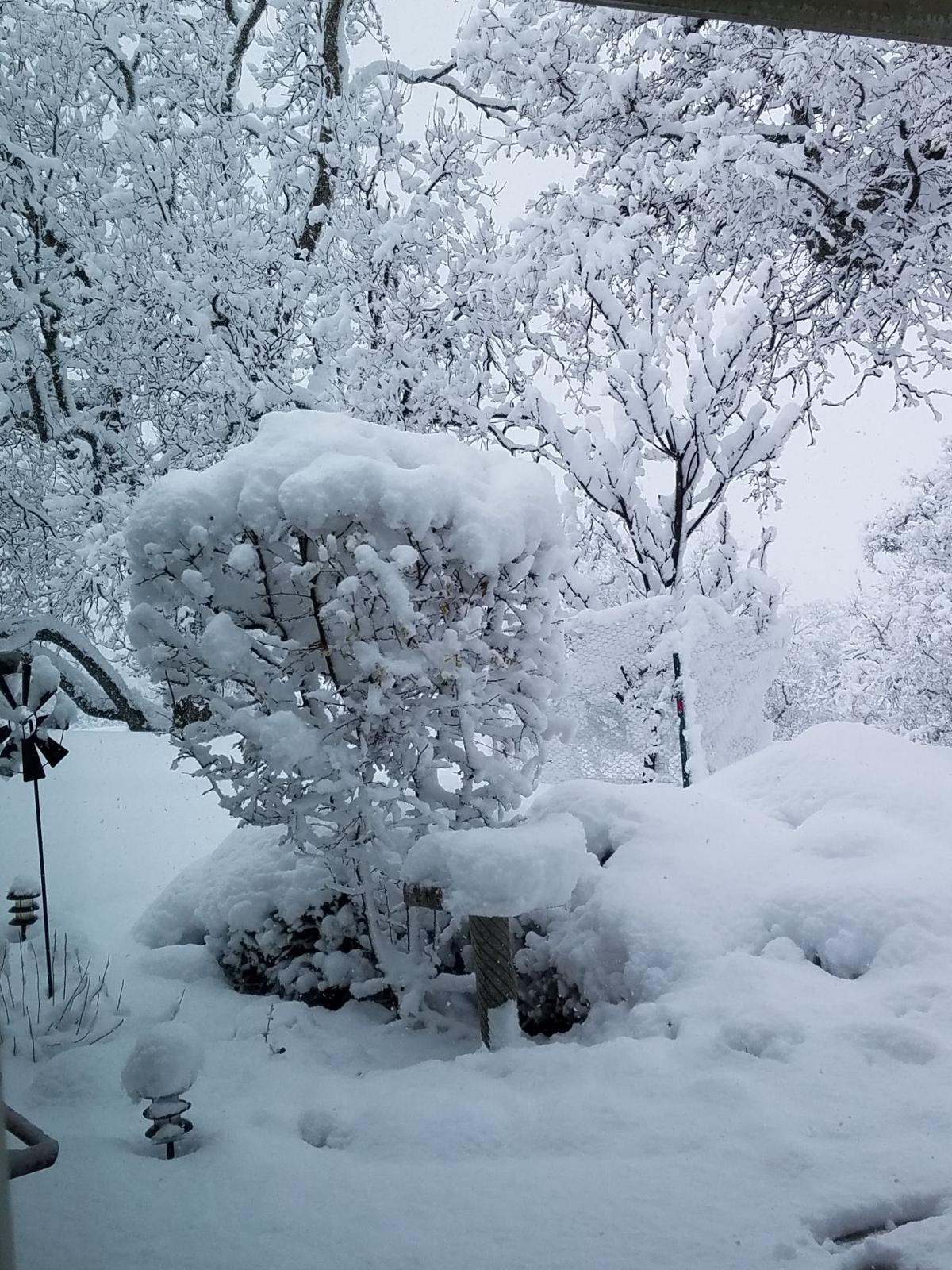 THROUGH YOUR LENS: Winter snowfall | Photo Galleries | bakersfield.com