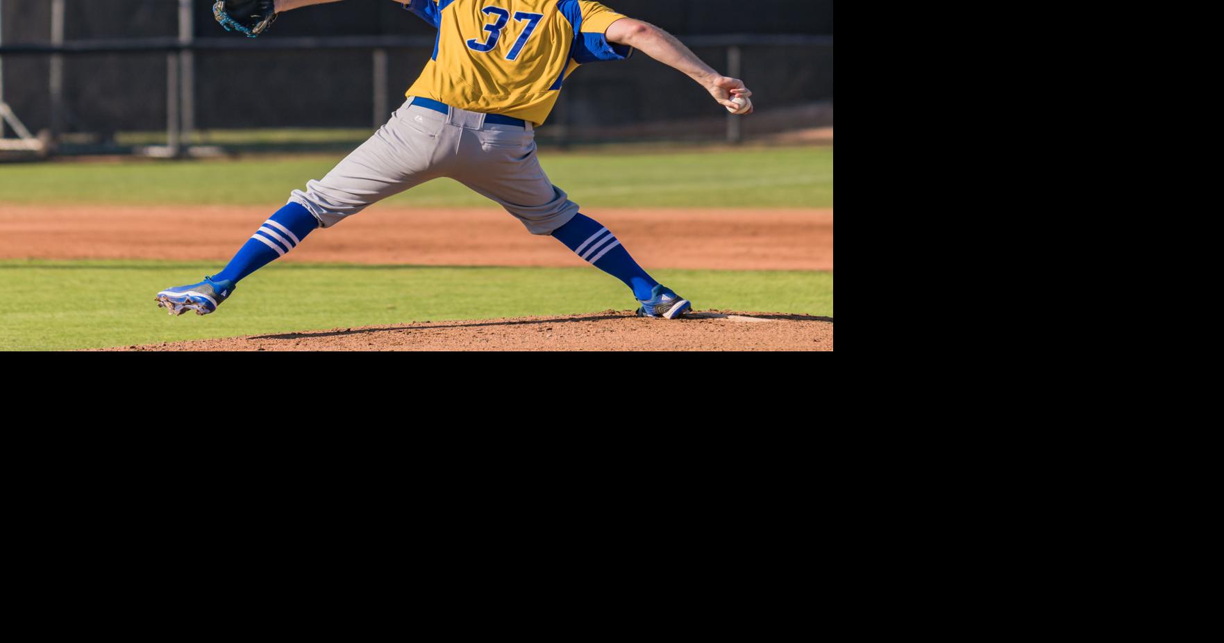 CSUB baseball got 'a shot in the arm' with influx of transfers for 2019 ...