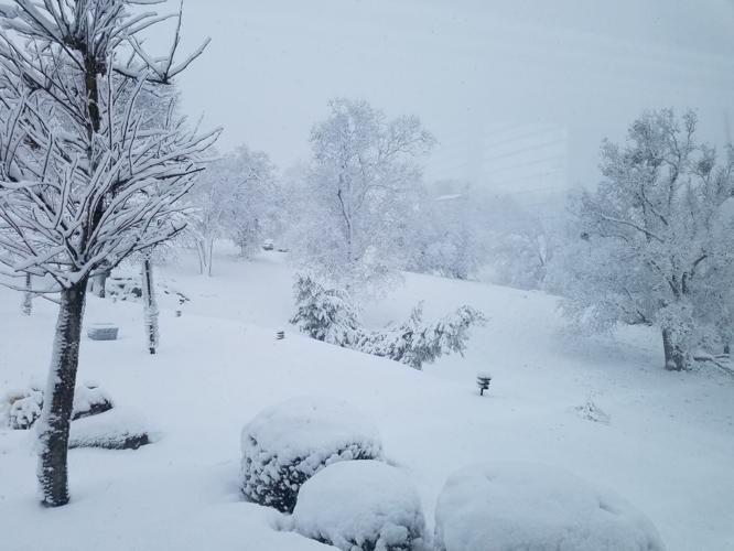 THROUGH YOUR LENS: Snow scenery | | bakersfield.com