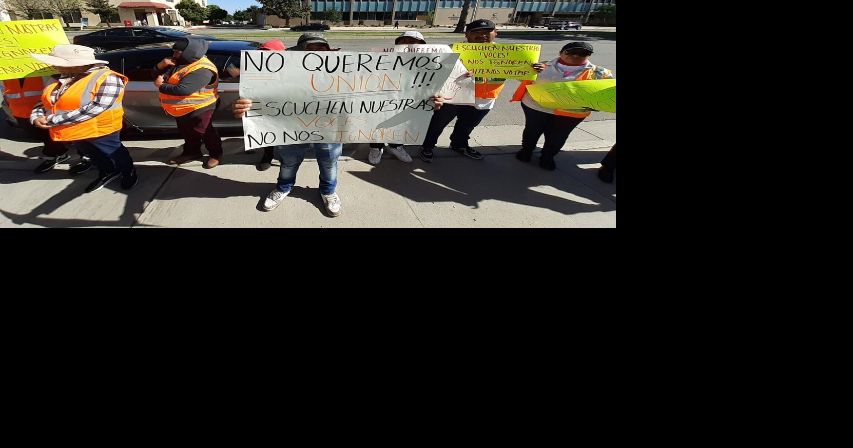 Protest, new allegations mark start of hearing on UFW-Wonderful ...